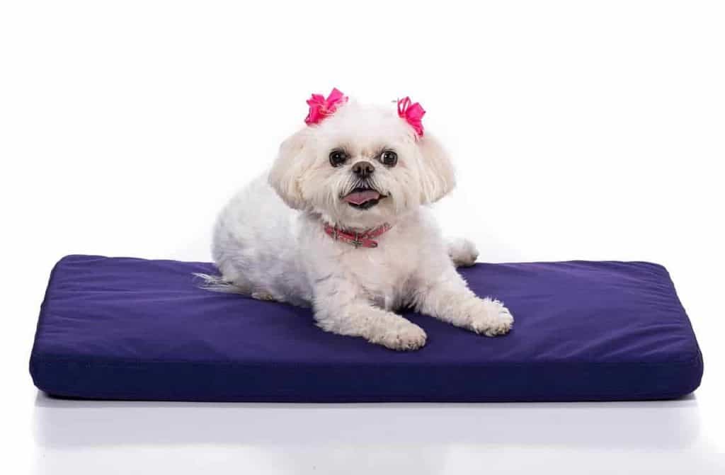 Gorilla Tough Orthopedic Dog Crate Pad™ | Gorilla Dog Beds