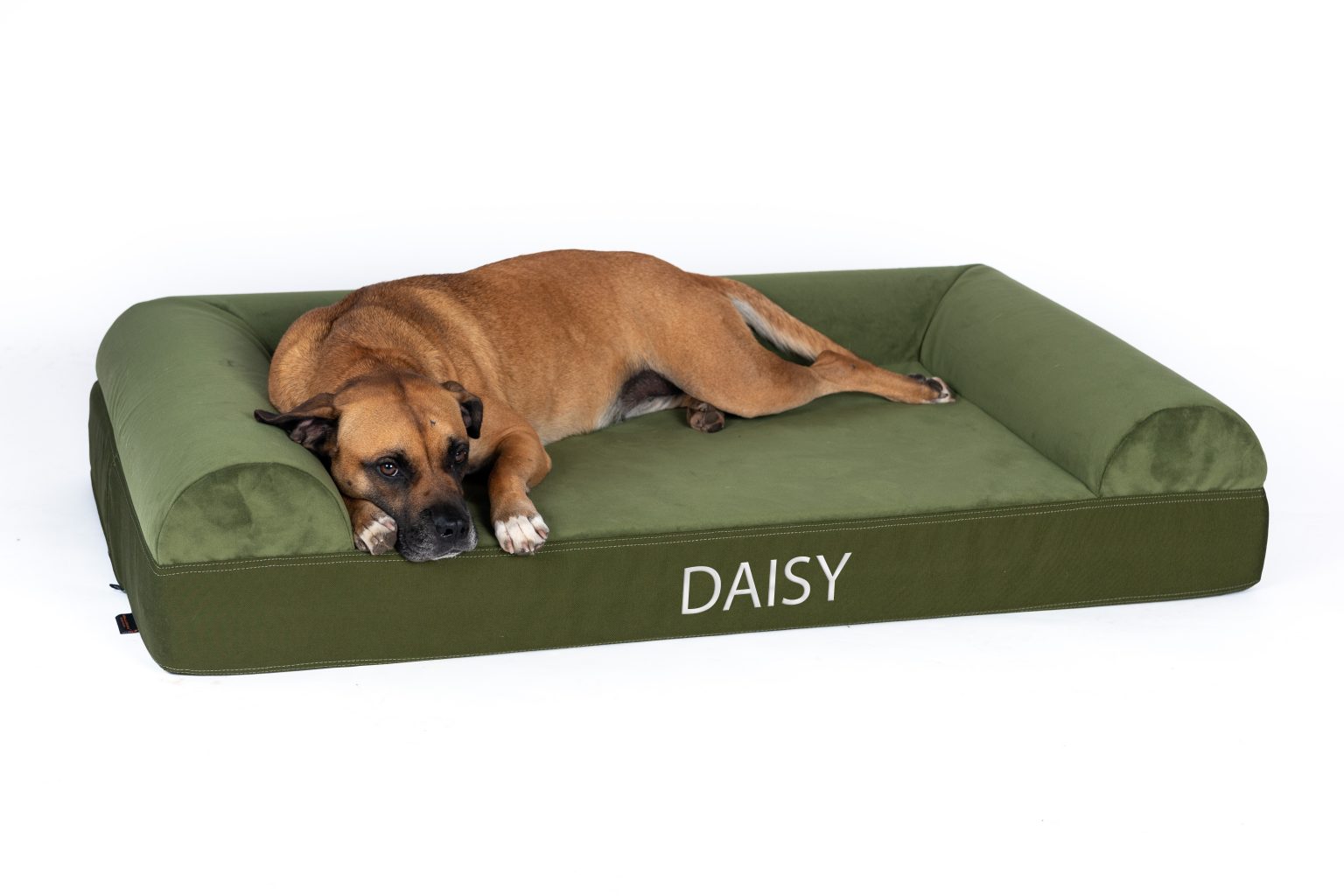 Luxury Dog Beds | Bolstered Dog Beds at Gorilla Dog Beds