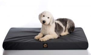 Gorilla Tough Orthopedic Dog Beds| Gorilla Dog Beds®