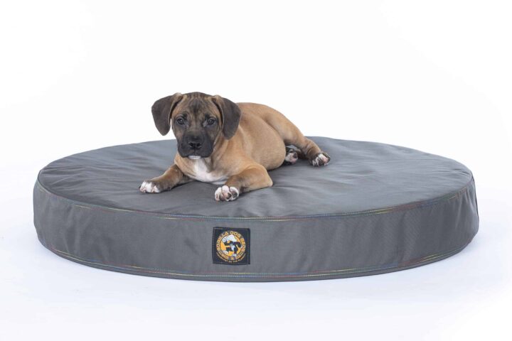 Chew Proof Ballistic Orthopedic Dog Bed | Gorilla Dog Beds®