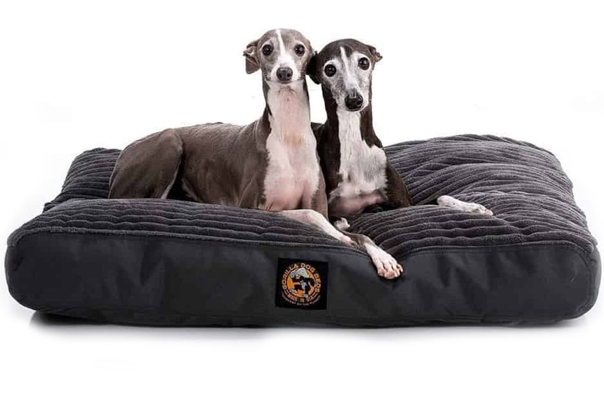 Chew Proof Dog Beds Tear Resistant Dog Beds For Sale Chew Proof Dog Beds Tear Resistant Dog Beds For Sale