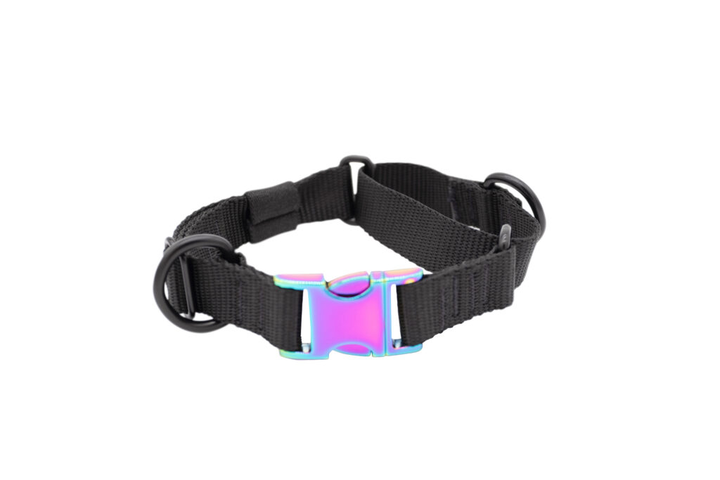 NEW! Control Martingale Collar - Chew Proof Dog Beds