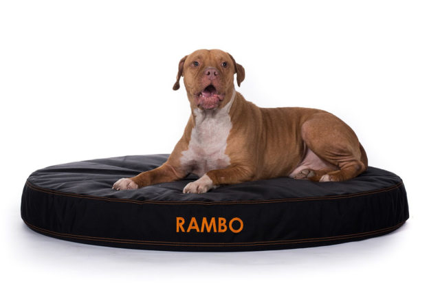 Chew Proof Ballistic Orthopedic Dog Bed | Gorilla Dog Beds®