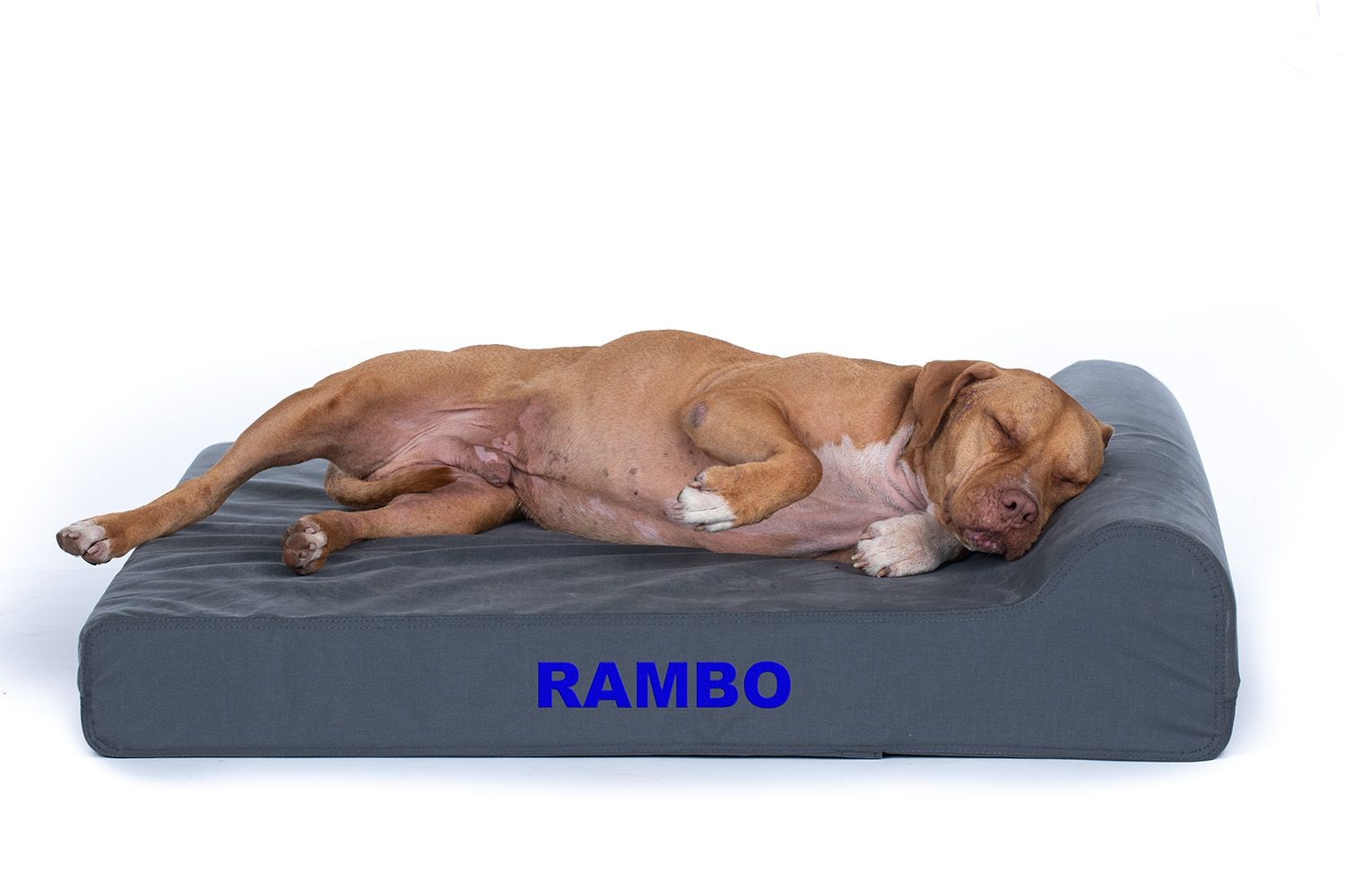 Chew Proof Dog Beds Crate Pads And More For Sale Chew Proof Dog Beds Crate Pads And More For Sale