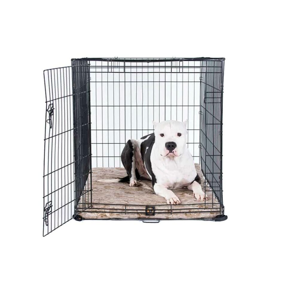 Chew-Resistant & Indestructible Dog Crate Pads